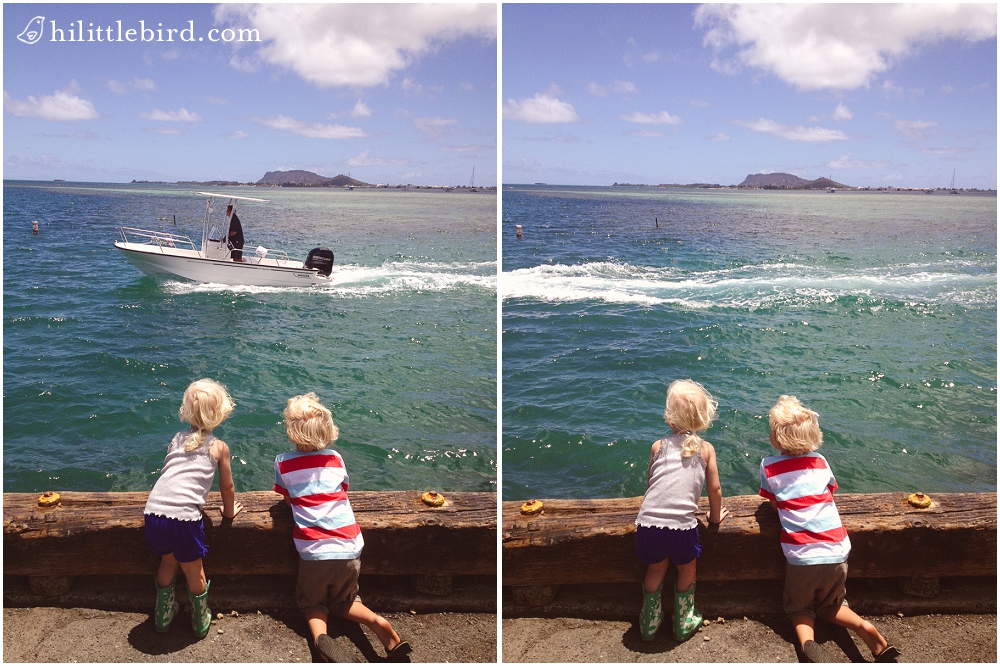Heeia Pier in Kaneohe, mini adventureland - Fun Oahu Family Photography ...