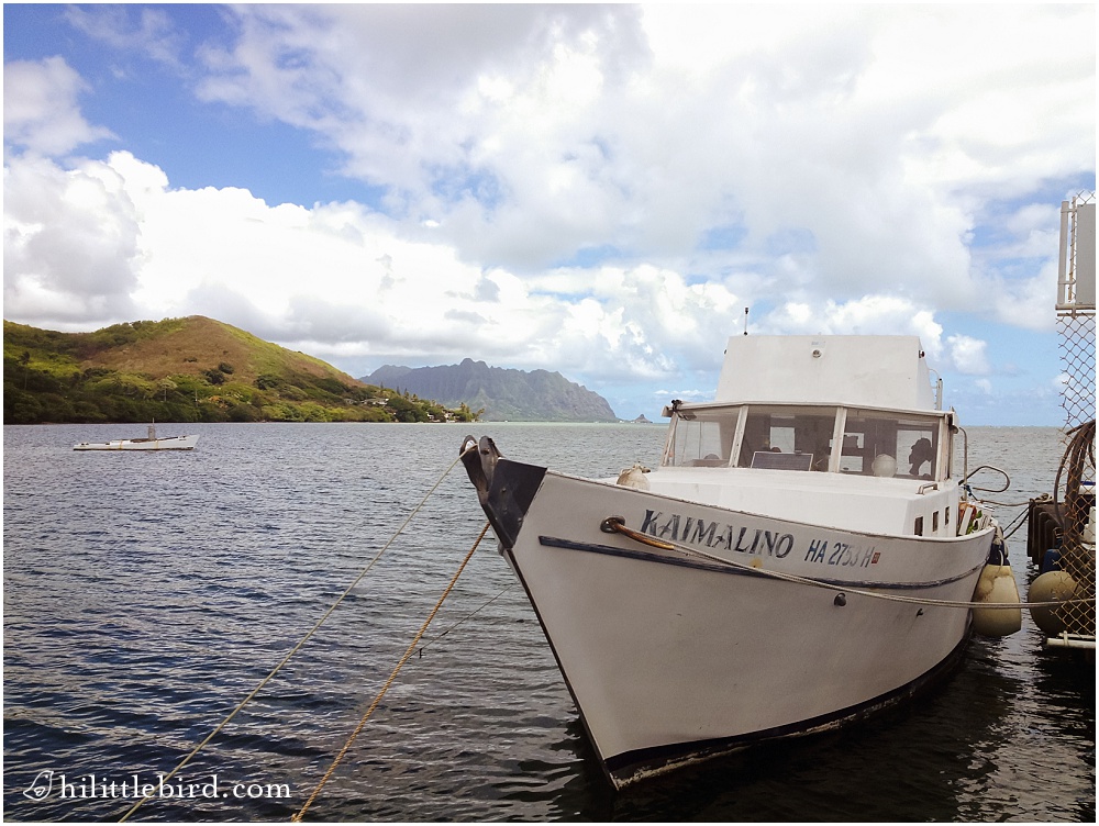 Heeia Pier in Kaneohe, mini adventureland - Fun Oahu Family Photography ...