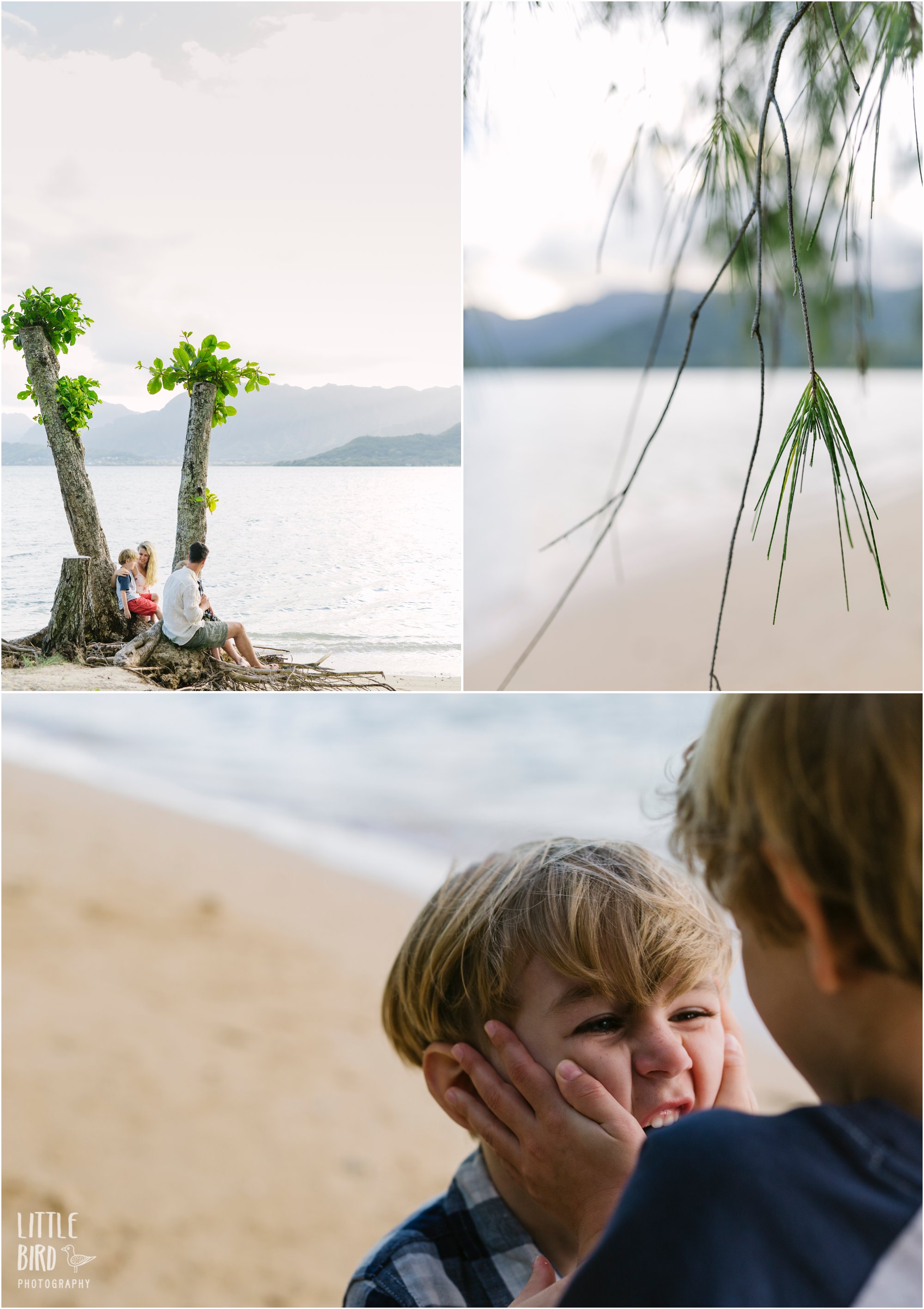 Hawaii lifestyle photography | Brothers + Buddies | Fun Oahu Family ...