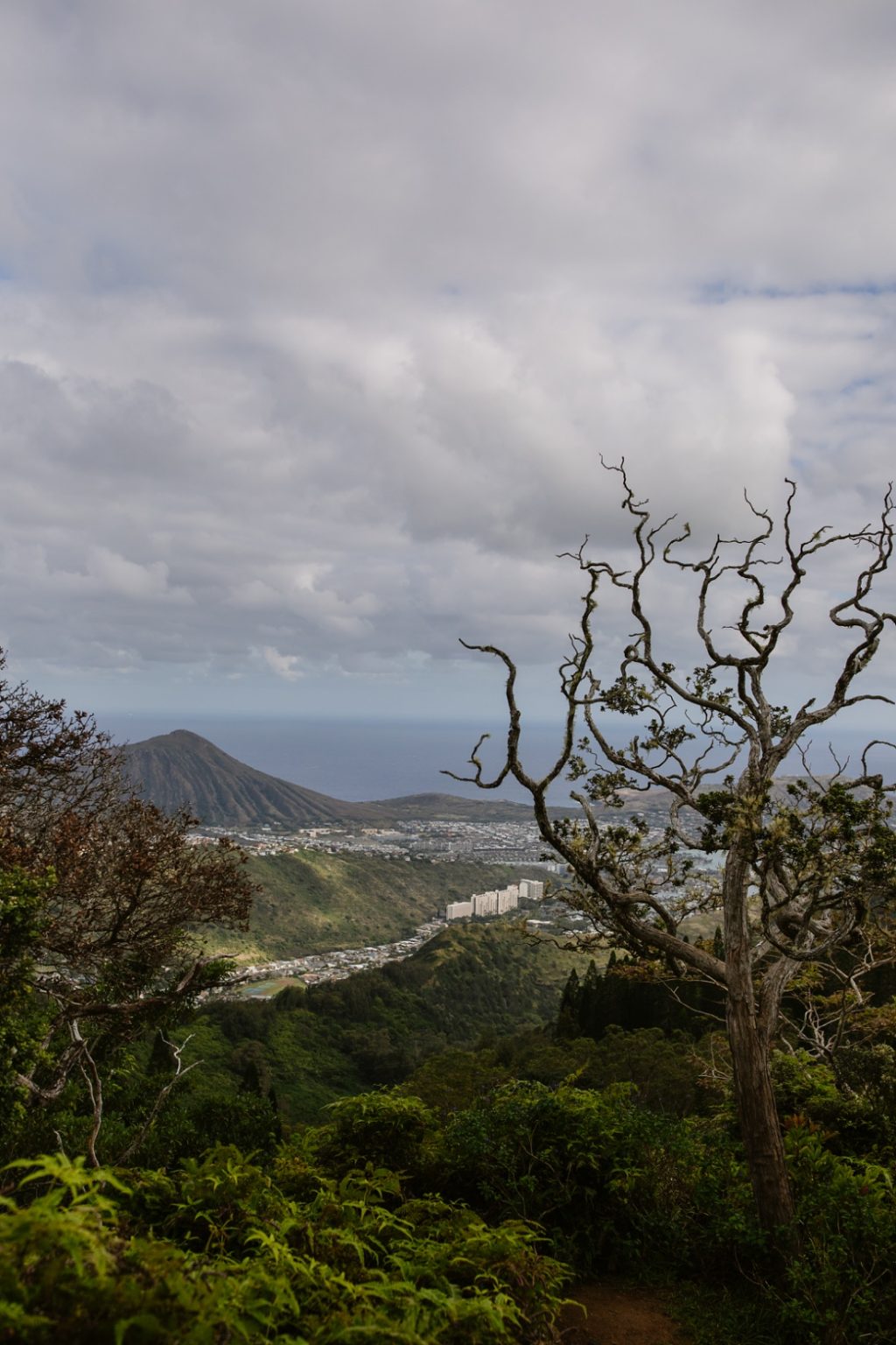 Kuliouou Ridge Trail | Best Oahu Ridge Hike for Adventurous Families