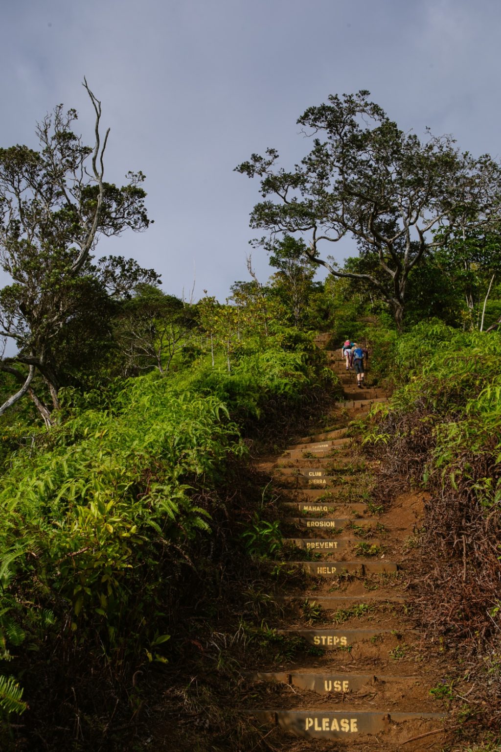 Kuliouou Ridge Trail | Best Oahu Ridge Hike for Adventurous Families